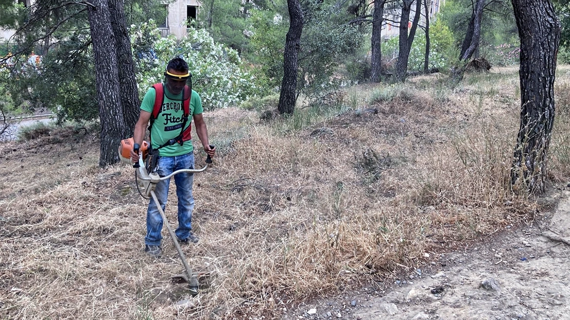 Πυροπροστασία: Τι πρέπει να κάνουν οι πολίτες με τις δηλώσεις για τους ...