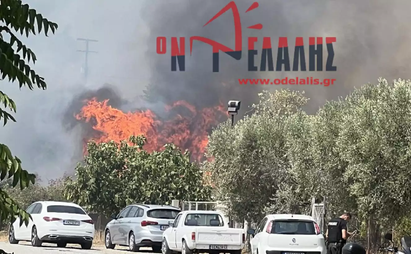 Πυρκαγιά στο Λιτόχωρο - Σηκώθηκαν αεροσκάφη και ελικόπτερο