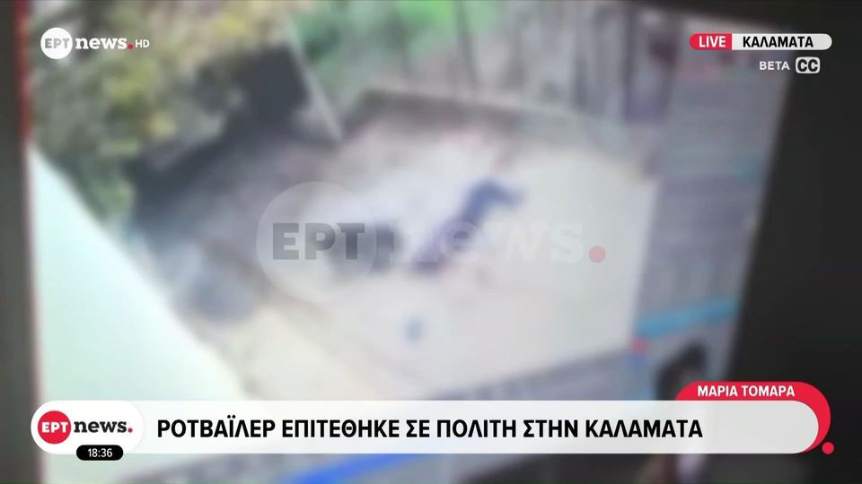 Καλαμάτα: Σε κρίσιμη κατάσταση ο 76χρονος που δέχθηκε επίθεση από το ...