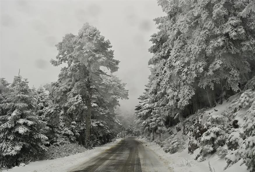 Καιρός: Νέο βαρομετρικό με ψύχος και χιόνια-Ποιες περιοχές πλήττει